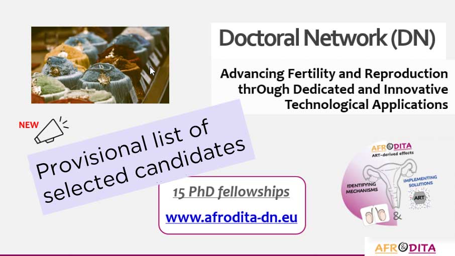 About - Afrodita - Portales Web